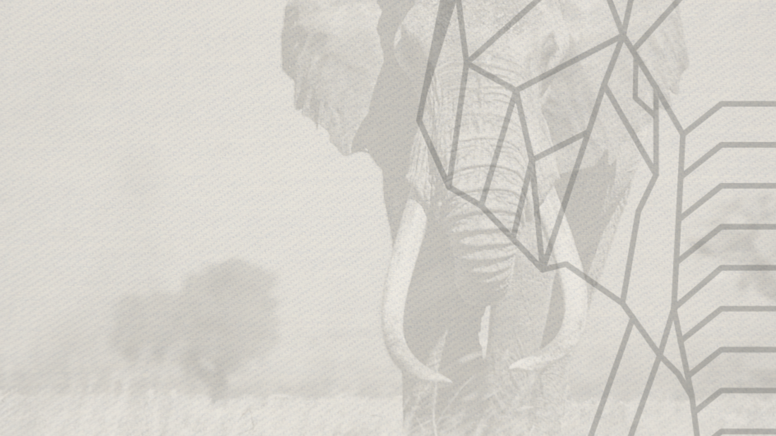 About Tembo Collection | Luxury Wearable Art & Conservation